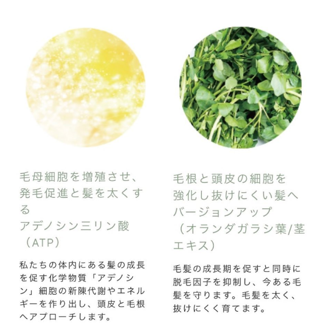 PUTELO ARシャンプー – putelo